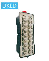 China 16-way switch industrial remote control DH-Z16F for sale