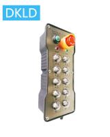 China Ten- way single speed switch industrial remote control for sale