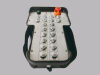 China 20 Way Explosion-Proof Remote Control for sale