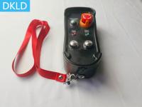 China Industrial Furnace Remote Control DHQ-2F for sale