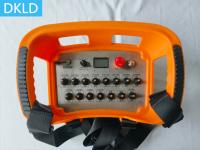 China 15 Three Position Self Resetting Paddles And 30 Control Loop Industrial Wireless Remote Controllers for sale