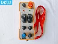 China 250 Meter High-Altitude Operation Equipment Handheld Dual Joystick Industrial Wireless Remote Control for sale