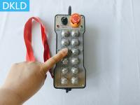 China 12 Way Single Speed Explosion-Proof Remote Control for sale