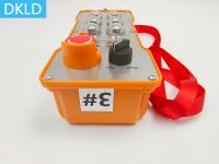 China 6-Way Switch Industrial Remote Control for sale