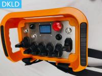 China Strap type 6 single axis proportional pole industrial wireless remote control for sale