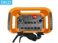 China Wireless Remote Control For Drilling Rig Industry for sale