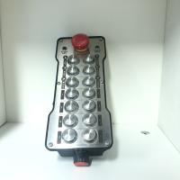 China 12Volt Push Button Remote Control , 500m Wireless Remote Controller for sale