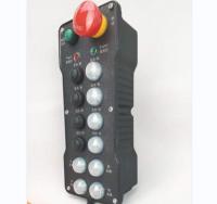 China Industrial 2 Way Joystick Remote Control Reinforced Nylon With 1 Receiver for sale