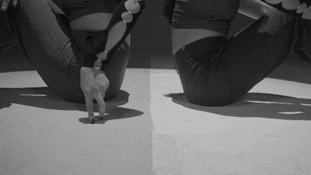 8.gif
