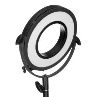 China Portable LED Photography Lights LED Video Ring Light  High CRI Still Life for sale