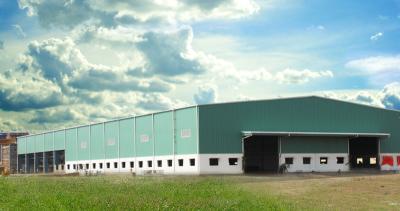 China Professional Pre Engineered Steel Buildings Design Manufacturing Construction Installation for sale