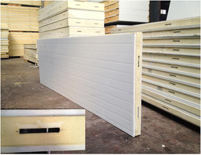 China PU sandwich Panels for 40FT container cold stores 20ft container cold room for sale