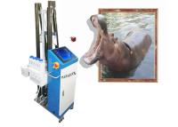 China 5d Art Painting Wall Printer Uv Wall Printing Machine For Mural wall for sale