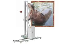 China Double Head DX10 3D Wall Painting Printer Waterproof Moisturizing for sale
