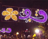 China outdoor christmas street light decoration holiday for sale