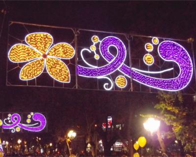 China outdoor christmas street light decoration holiday for sale