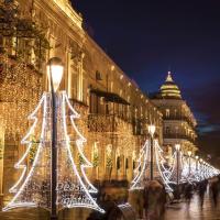 China led christmas tree outdoor pole decoration lights for sale