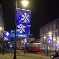 China snowflake commercial street light pole decorations for sale