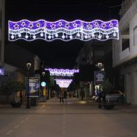 China LED City Decoration Lights 100W 110V-240V Outdoor Street Holiday Lighting for sale