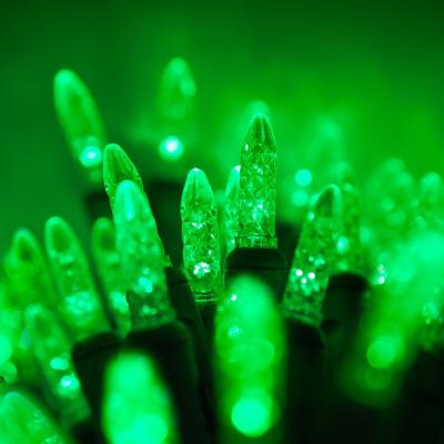 China Green LED M5 Christmas Light 100 Bulbs 17ft 120V Outdoor String Lights for sale