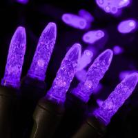 China M5 LED Christmas String Light 100 Bulbs 17ft Purple IP65 Outdoor Holiday Decoration for sale
