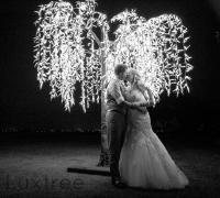 China Luxury Christmas Decorations Led Willow Tree Light Christmas Tree for sale