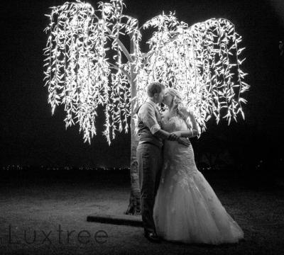 China Luxury Christmas Decorations Led Willow Tree Light Christmas Tree for sale