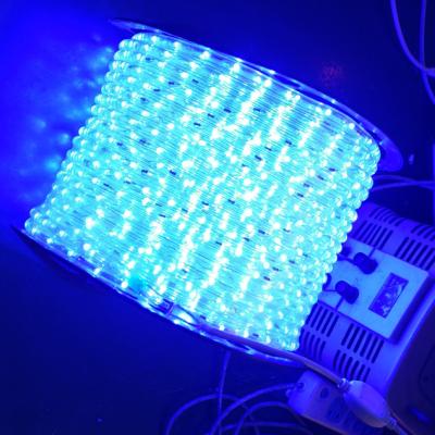 China Round 2 Wires LED Rope Light 100m 36LEDs/m IP65 Outdoor Decorative Lighting for sale