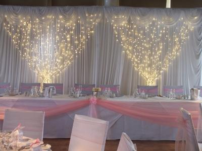 China LED Curtain Light 48W 800 LEDs Wedding Decoration Waterproof IP44 for sale