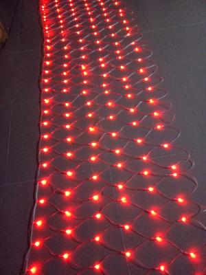 China Outdoor LED Net Lights 10m 1000 LEDs Connectable Decorative Garden Lighting 110V-240V for sale