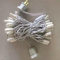 China 50 LED 5mm String Mini Lights 17ft 120V Outdoor Christmas Decoration for sale