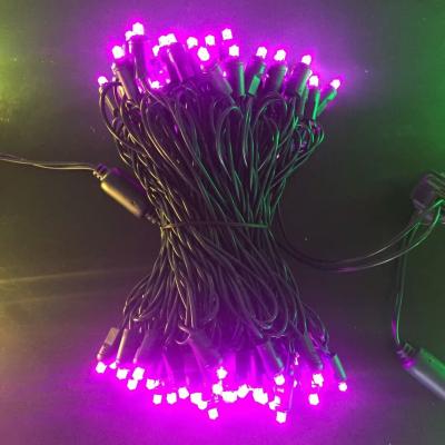China 5mm Wide Angle LED Christmas String Light 100 Count 120V 17ft for sale