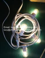 China IP65 LED Festoon String Lights 100m E27 Socket 110V-240V Outdoor Garden Decoration for sale