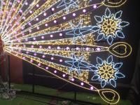 China Outdoor 3D LED Peacock Sculpture 4m x 6m 300W for Christmas Wedding Festival Decoration for sale