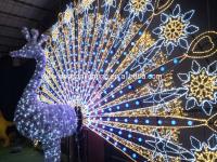 China Outdoor 3D LED Peacock Sculpture 4m x 6m 300W for Christmas Wedding Festival Decoration for sale