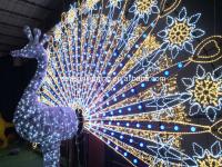 China Outdoor 3D LED Peacock Sculpture 4m x 6m 300W for Christmas Wedding Festival Decoration for sale