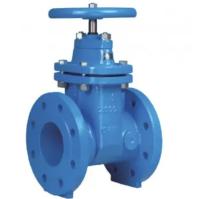 China DN40-DN600 Resilient Seated Gate Valve RSGV for Water Treatment 1.6Mpa for sale