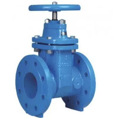 China DN40-DN600 Resilient Seated Gate Valve RSGV for Water Treatment 1.6Mpa for sale