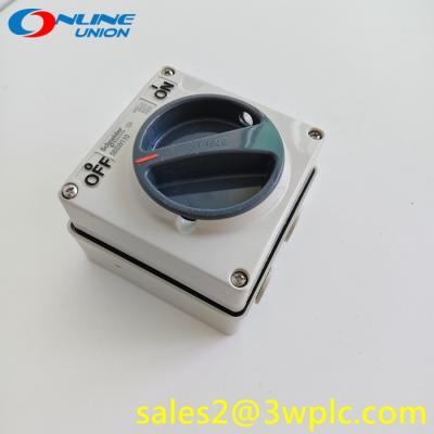 China S56SW110GY Schneider 10A 250V IP66 Rated Industrial Switch For Harsh Environments for sale