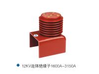 China Electrical Switchgear HV Insulators Isoator Power Supply Epoxy   12KV for sale