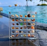 China 36 Grids Storage Acrylic Display Case For Collectibles Jelwelry Craft Organizer for sale