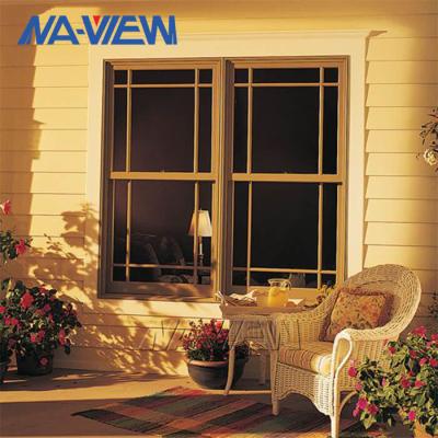 China Latest Design Energy Saving Sashless Double Hung Windows for sale