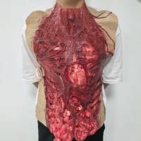 China Realistic Zombie Design Latex Torso Prop - Durable Rubber Material Unisex Halloween Belly Decoration for sale