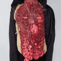 China Realistic Zombie Design Latex Torso Prop - Durable Rubber Material Unisex Halloween Belly Decoration for sale
