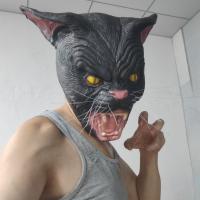 China Latex Material Halloween Mask with One Size Fit Most for Horror Fantasy Characters for sale