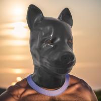 China Latex Material Halloween Mask with One Size Fit Most for Various Themes and Styles for sale