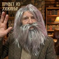China Realistic Grey Wig and Beard Set for Men, Long Silver Hair Old Man Costume, Wizard Hermit Caveman Cosplay for Halloween Party for sale