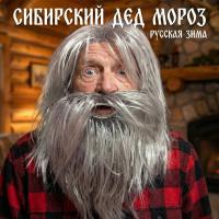 China Realistic Grey Wig and Beard Set for Men, Long Silver Hair Old Man Costume, Wizard Hermit Caveman Cosplay for Halloween Party for sale