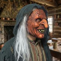 China Terrifying Witch Mask - Long Grey Hair & Wrinkled Skin for Halloween Cosplay for sale