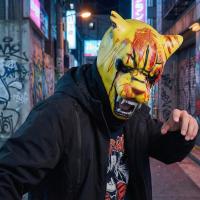 China Creepy Cat Mask with Terrifying Design Premium Latex Material and Full Head Coverage for Halloween for sale
